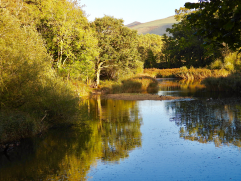 Developments of National Significance (DNS) | The Wildlife Trust of ...