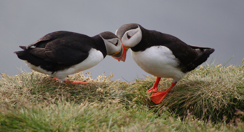 Visit | The Wildlife Trust of South and West Wales