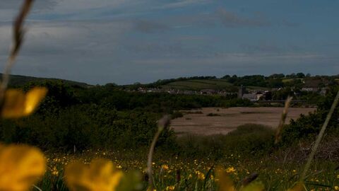 Teifi Marshes | The Wildlife Trust of South and West Wales
