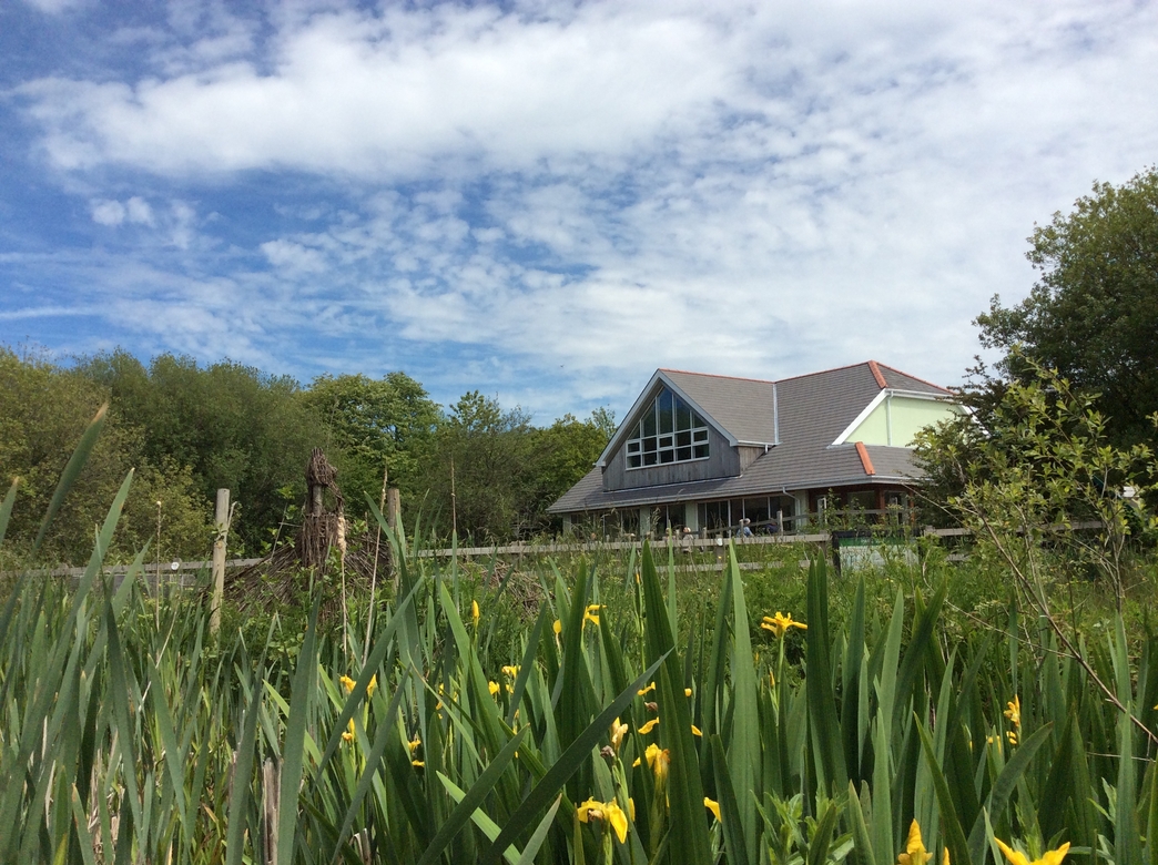 Parc Slip Nature Reserve and Visitor Centre | The Wildlife Trust of ...
