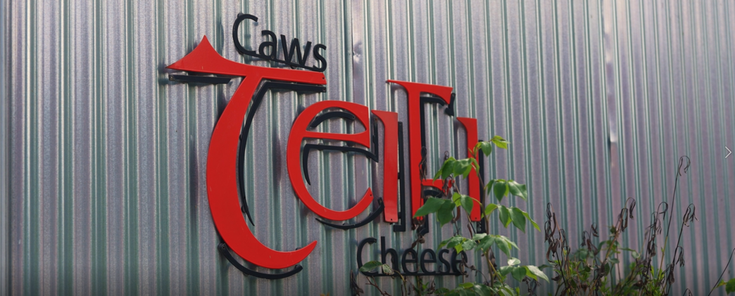 Caws Teifi Cheese | The Wildlife Trust of South and West Wales