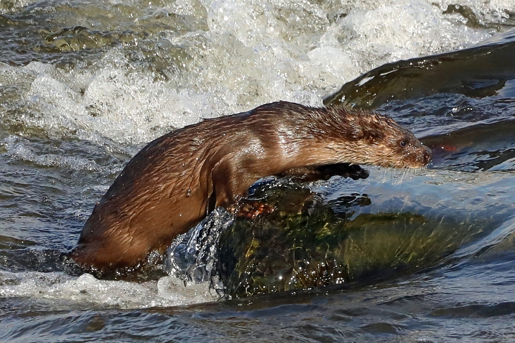John's Story | The Wildlife Trust of South and West Wales