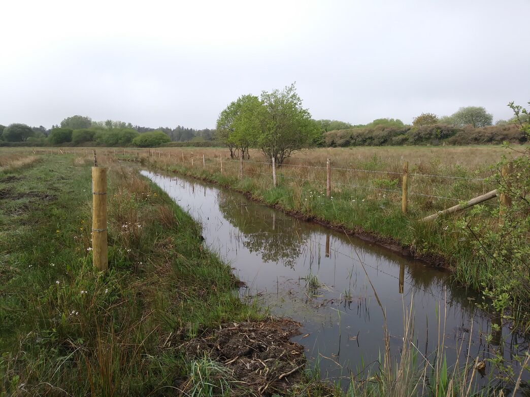 Habitat and infrastructure works at Ffrwd | The Wildlife Trust of South ...