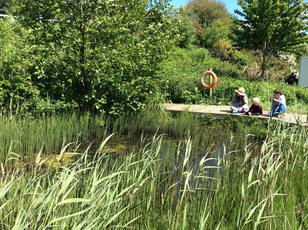 Welsh Wildlife Centre & Teifi Marshes | The Wildlife Trust of South and ...
