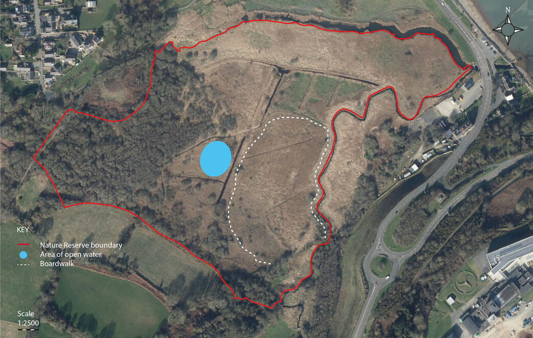 Work begins to re-open Goodwick Moor Nature Reserve | The Wildlife ...