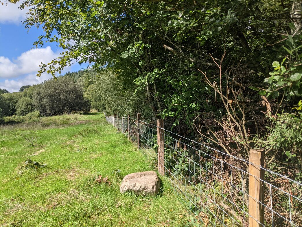 Nature Networks Fund 2 - Resilient Grasslands Update | The Wildlife ...