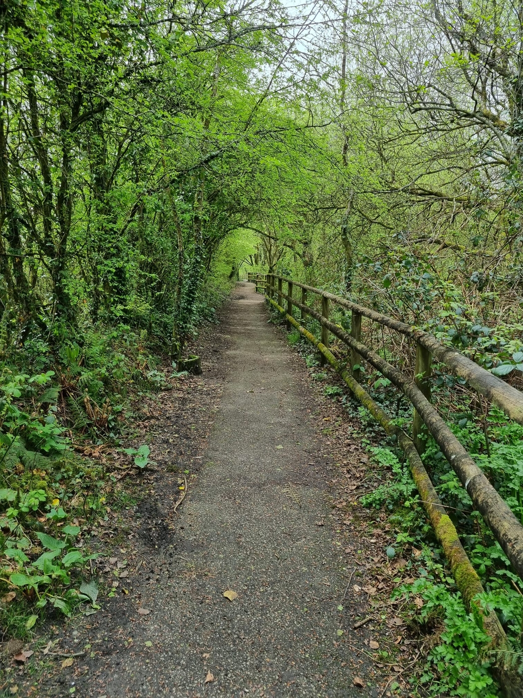 Parc Slip Nature Reserve – Bridgend | The Wildlife Trust of South and ...