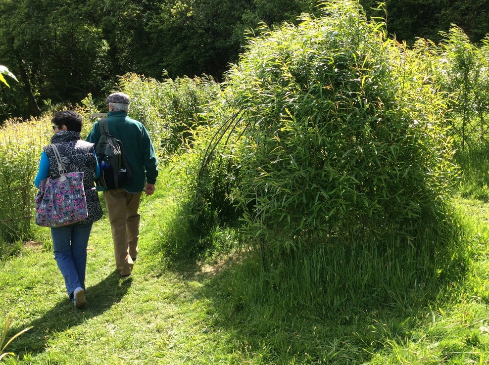Welsh Wildlife Centre & Teifi Marshes | The Wildlife Trust of South and ...