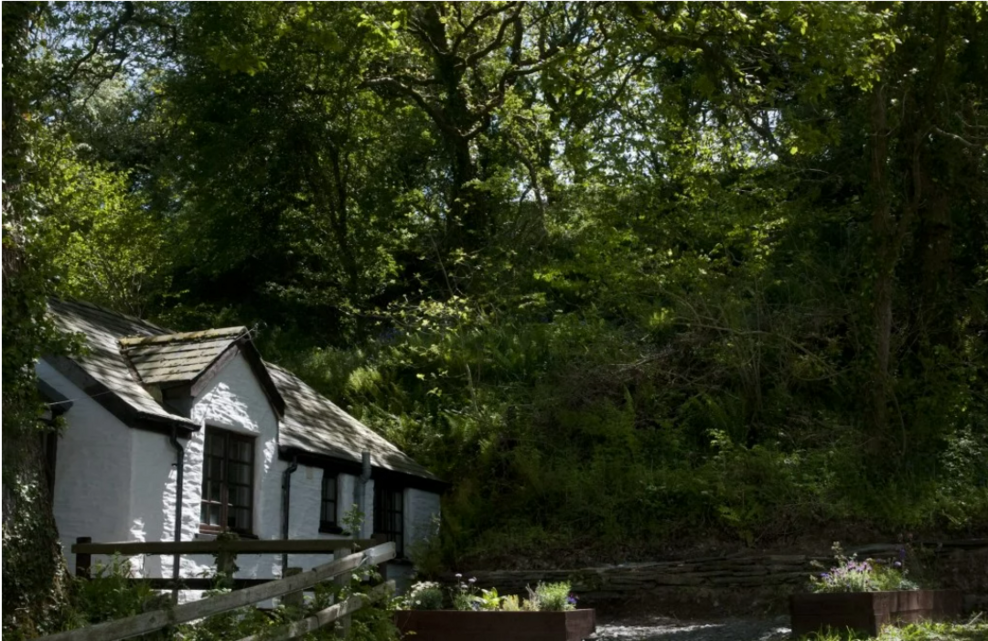 Oak Tree Cottage | The Wildlife Trust of South and West Wales