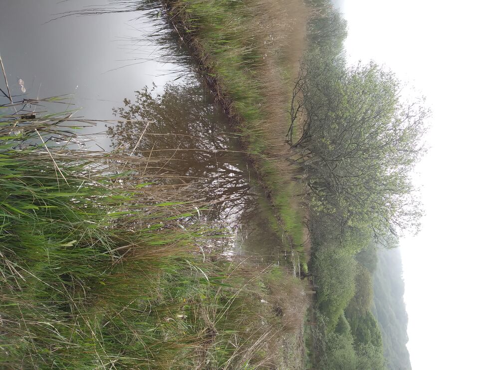 Habitat and infrastructure works at Ffrwd | The Wildlife Trust of South ...