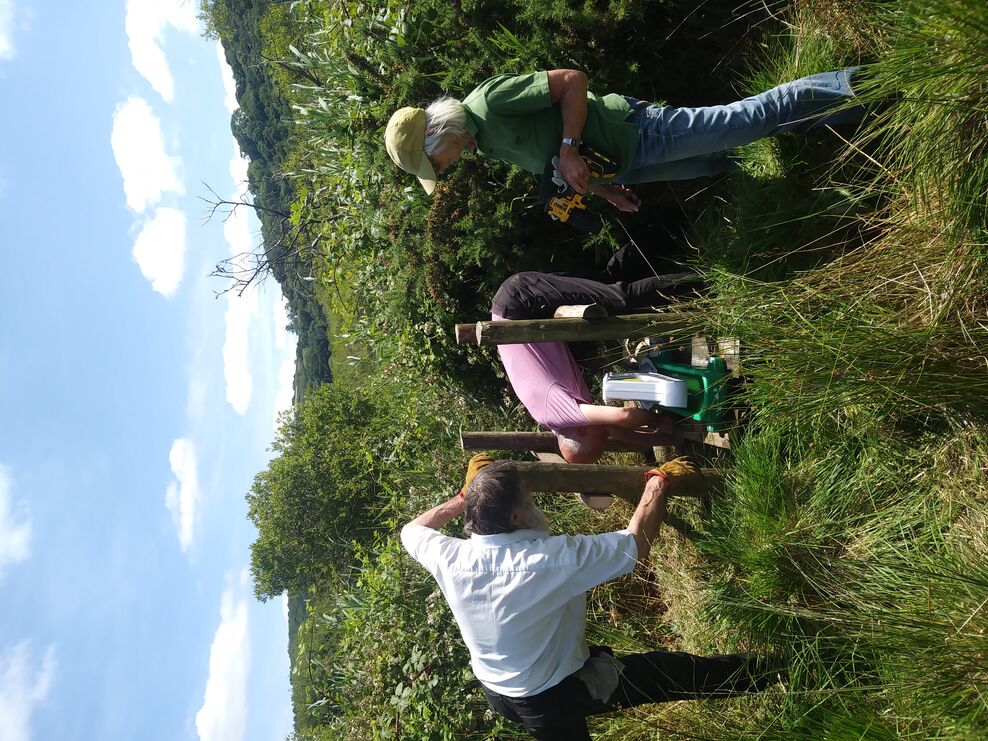 Habitat and infrastructure works at Ffrwd | The Wildlife Trust of South ...