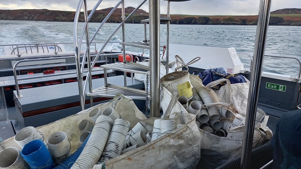 Skomer Island Biosecurity Incursion Response | The Wildlife Trust of ...