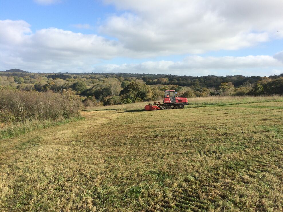 Nature Networks Fund 2 - Resilient Grasslands Update | The Wildlife ...