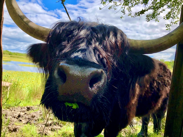 Parc Slip Nature Reserve and Visitor Centre | The Wildlife Trust of ...