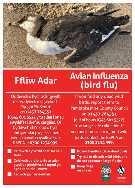 Members of the public asked not to touch dead or sick wild birds as ...