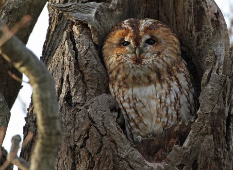 Glasshouse Cafe | The Wildlife Trust of South and West Wales